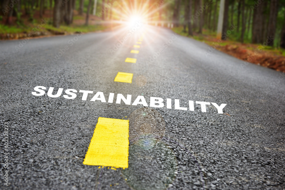Road to sustainability development . Challenge with success concept and ...