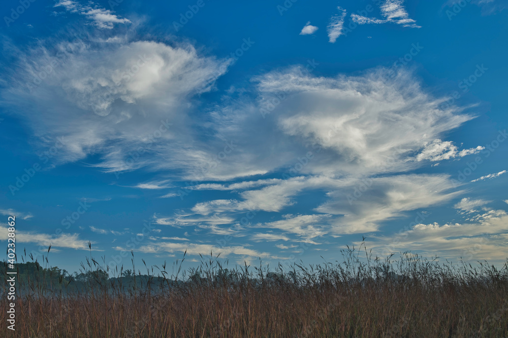 Autumn landscape of tall grass prairie and clouds in light fog, Fort ...