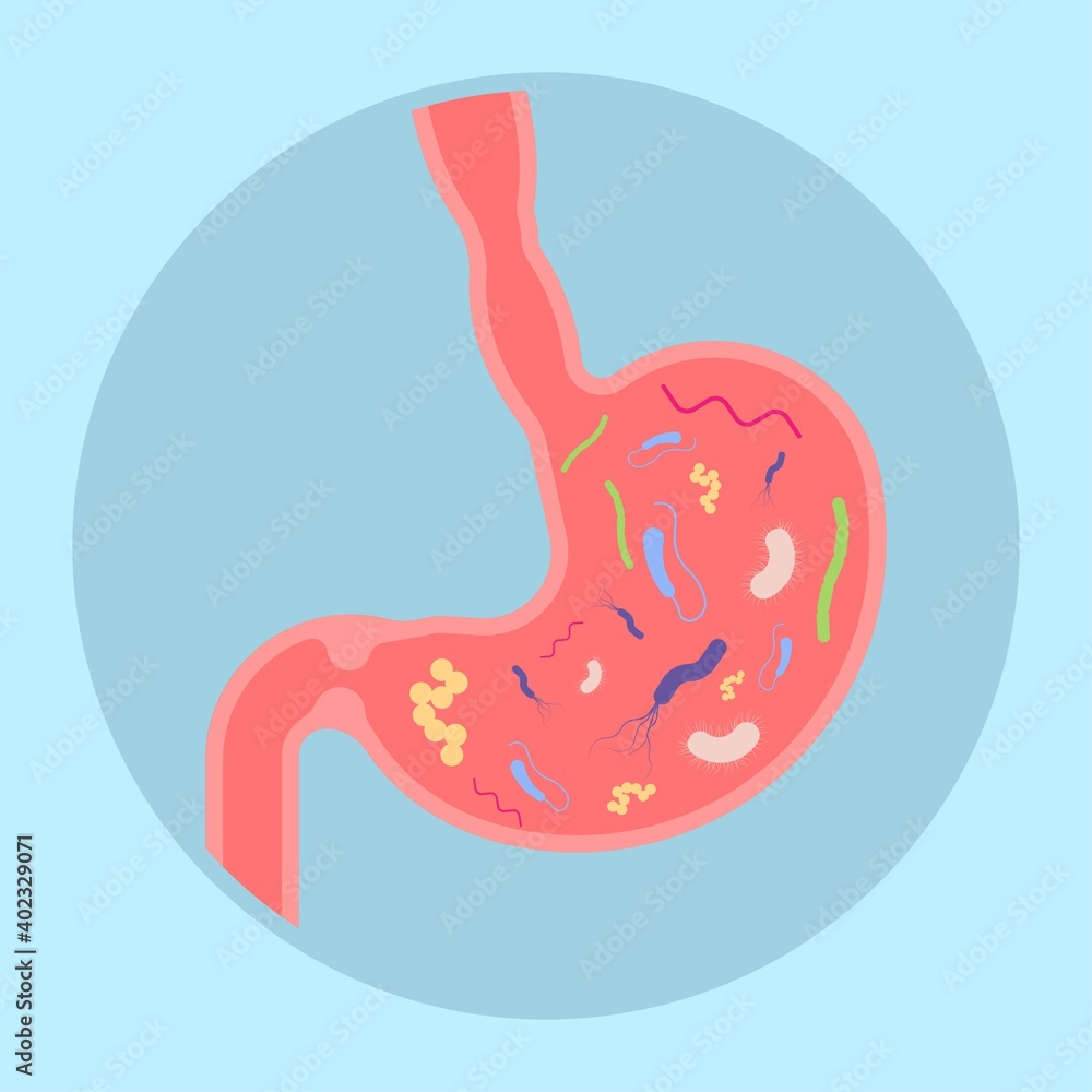 intestine bacteria gut pain eating IBS large fungal fungi tract H ...