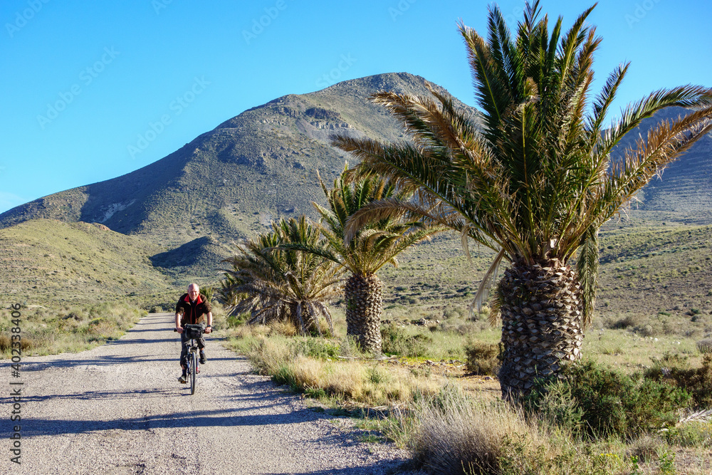 Cyclist with palm trees along a path with a blue sky and mountain in ...