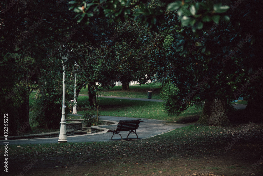 Parque sin gente lleno de arboles con un banco de madera solitario y ...
