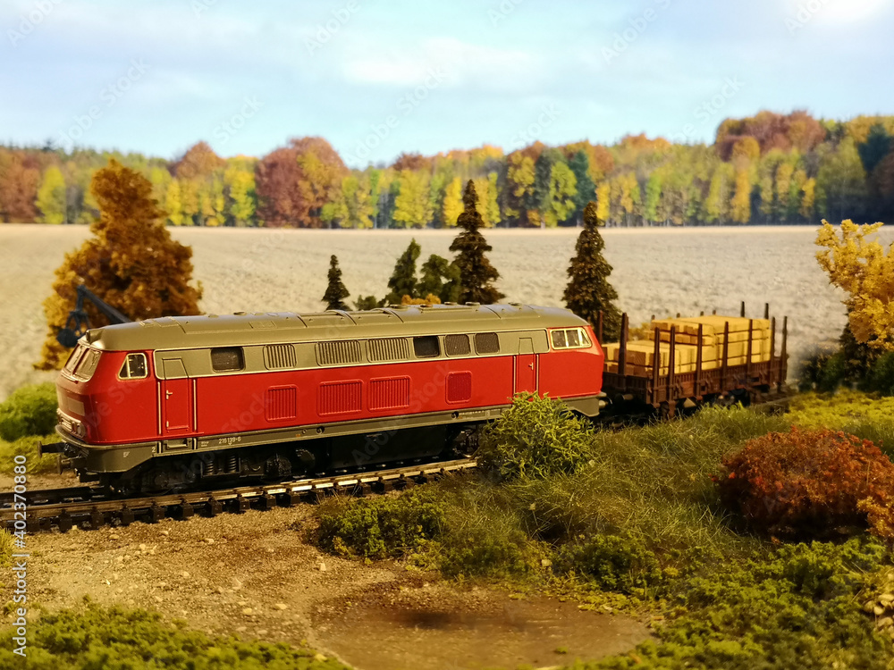 Modellbahn Diesellok BR216 in einer Landschaft Stock Photo | Adobe Stock