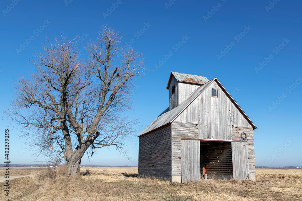 An Old Wood Barn by a Tree with Bare Branches under a Clear Blue Sky ...