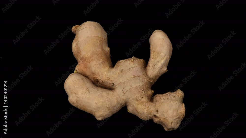 Realistic render of a rotating fresh ginger root on transparent ...