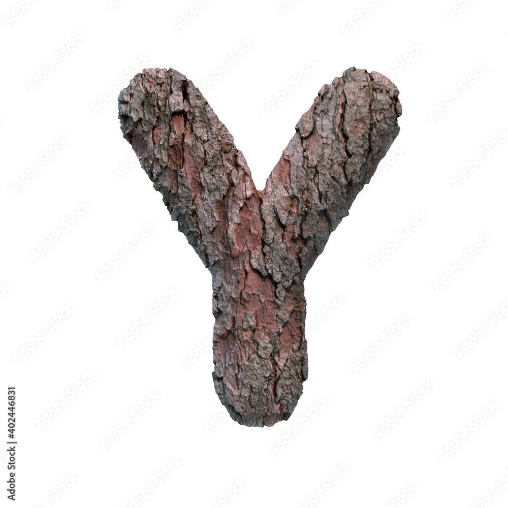 Letter Y In Nature