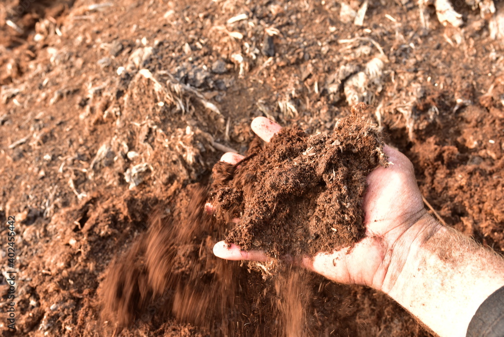 Peat Moss background. Peat moss industry harvests and ships millions of ...