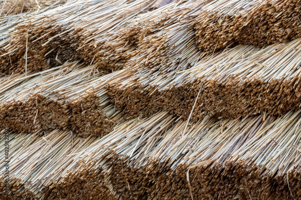 Straw thatching roof. Texture background. Close up. Stock Photo | Adobe ...