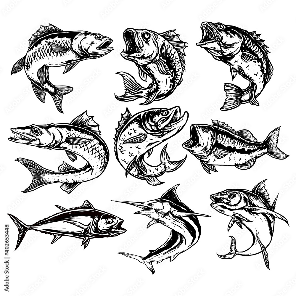 vector set of predator fish illustration Stock Vector | Adobe Stock
