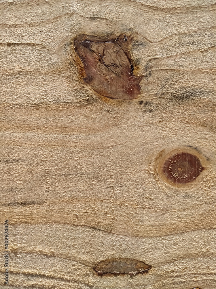 Pinus wood texture with a knot and black fungi Stock Photo | Adobe Stock
