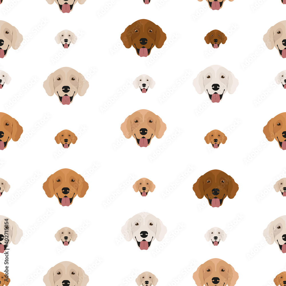 Golden retriever dogs in different poses and coat colors. Seamless ...