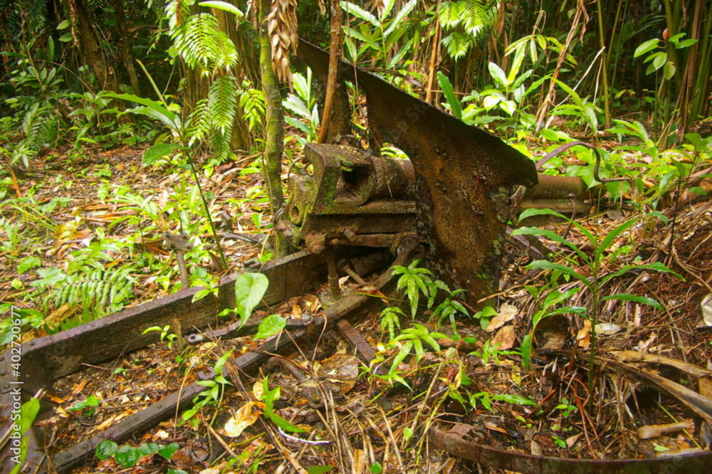 WWII Japanese Army 75 mm Artillery Gun in Jungle, Kahili Airfield ...