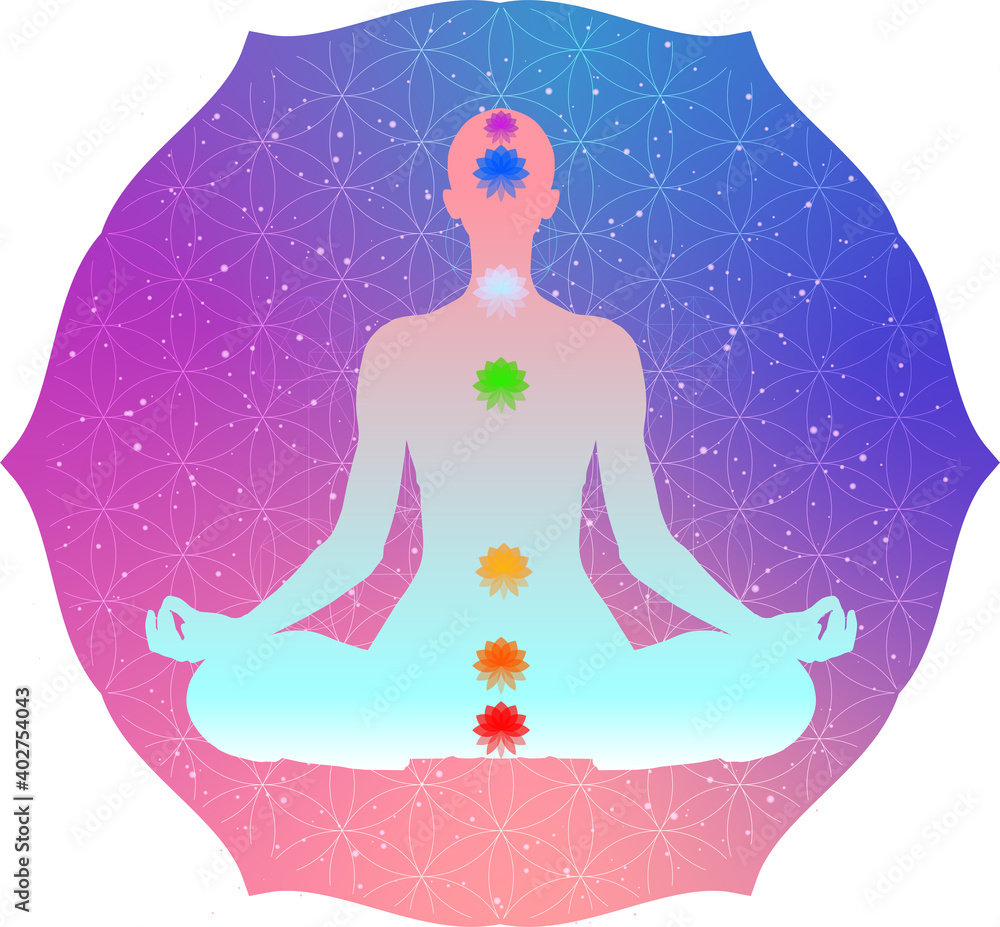 Silhouette of a Yoga Lotus Pose with Lotus Flower Chakras and Flower of ...
