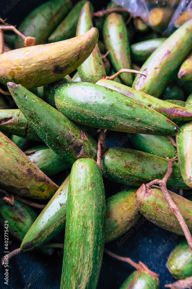 Fresh Dittoceras Maculatum Kerr Fruits, It is a rare fruit from Doi Phu ...