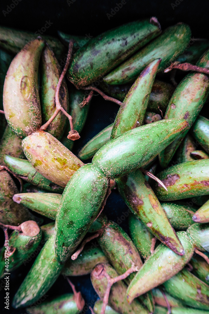 Fresh Dittoceras Maculatum Kerr Fruits, It is a rare fruit from Doi Phu ...