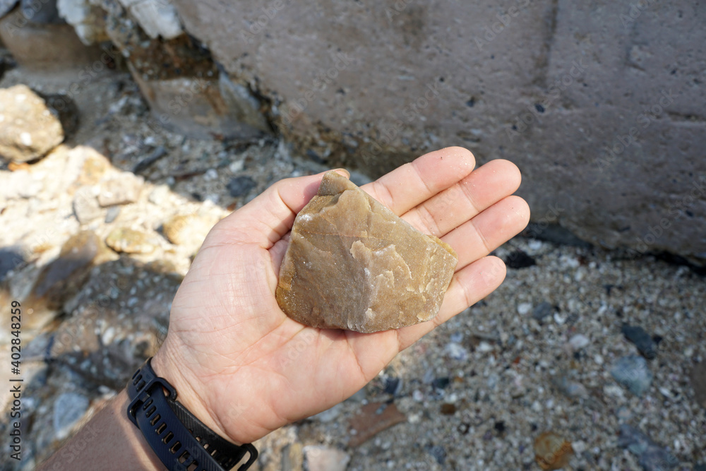 Hand holding a piece raw Quartzite rock. Quartzite is a metamorphic ...