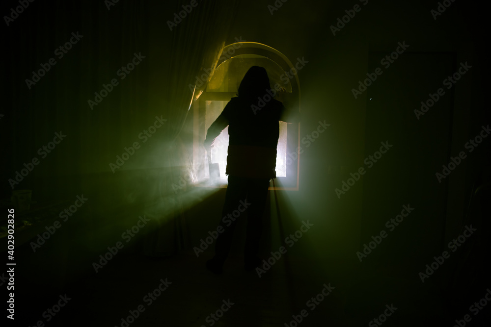 Silhouette of an unknown shadow figure on a door through a closed glass ...