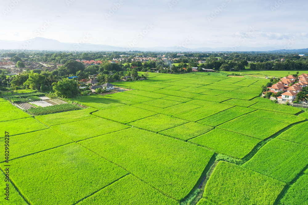 Land or landscape of green field in aerial view. Plot of land for ...