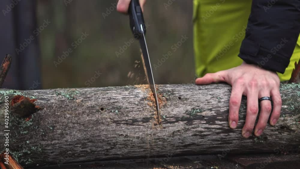 Man sawing wood for campfire in the forest with hand saw. Man cutting ...
