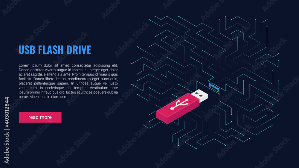 Vector isometric illustration, usb flash drive against the background ...