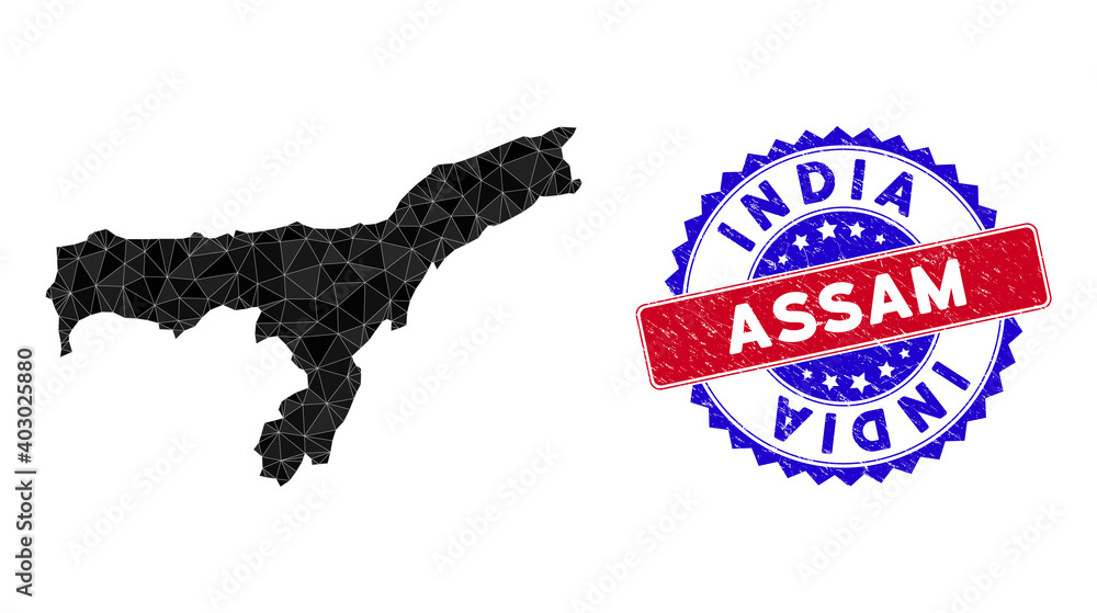 Assam State map polygonal mesh with filled triangles, and grunge ...