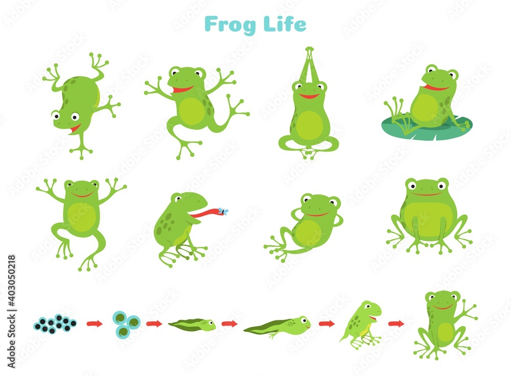 Cartoon frog. Cute green frogs, isolated wild animal in different poses ...