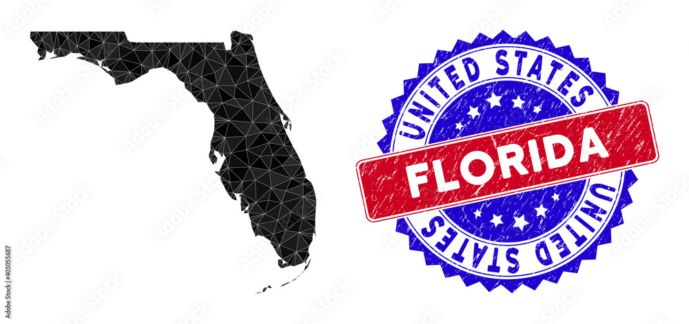 Florida map polygonal mesh with filled triangles, and rubber bicolor ...