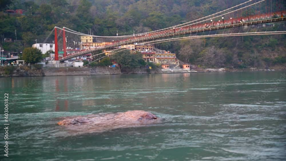 Ram Jhula This long famous pedestrian suspension bridge crossing the ...