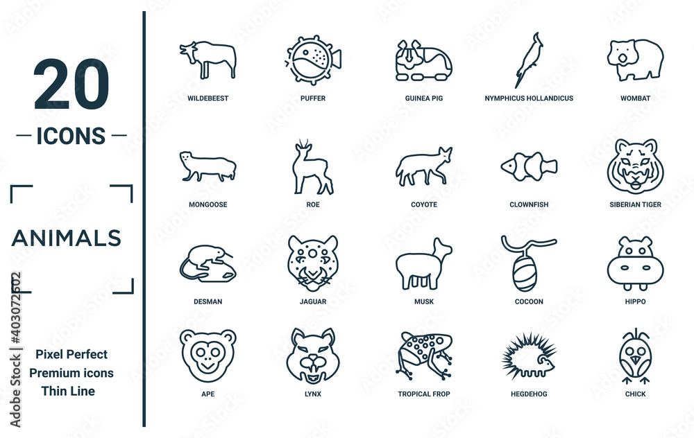 animals linear icon set. includes thin line wildebeest, mongoose ...