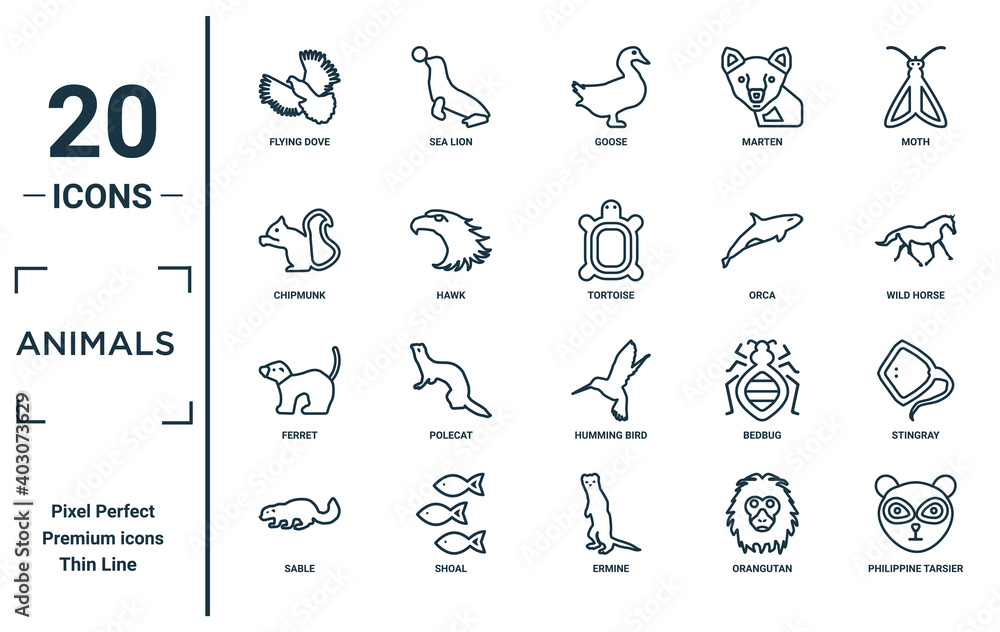 animals linear icon set. includes thin line flying dove, chipmunk ...