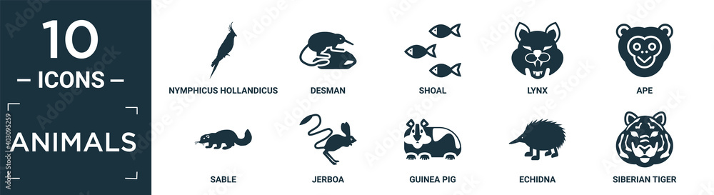 filled animals icon set. contain flat nymphicus hollandicus, desman ...