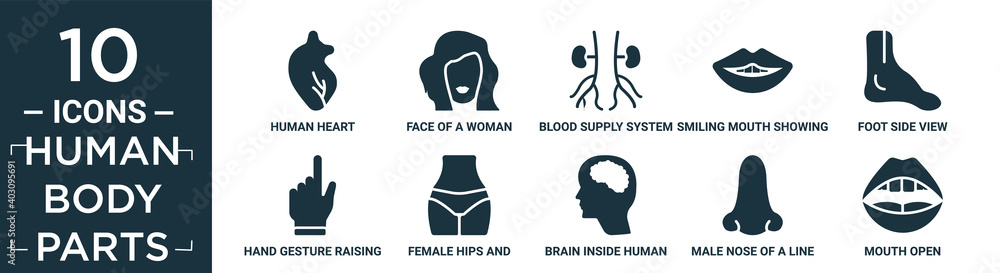filled human body parts icon set. contain flat human heart, face of a ...