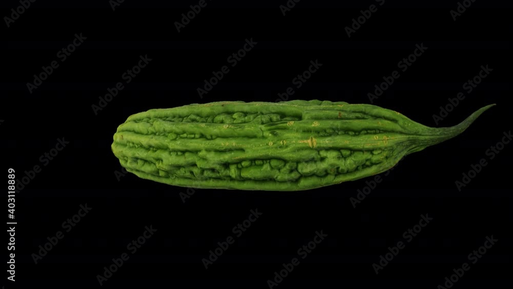 Realistic render of a spinning Bitter Melon (Bitter Gourd) on ...