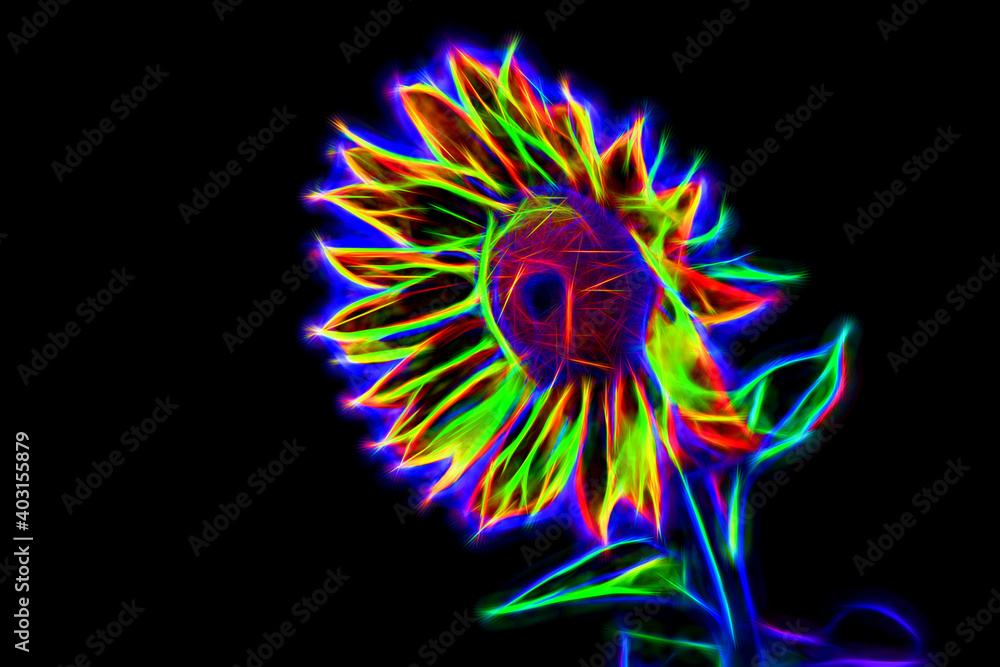 Abstract neon flower. Multicolored glowing sunflower close-up on a ...
