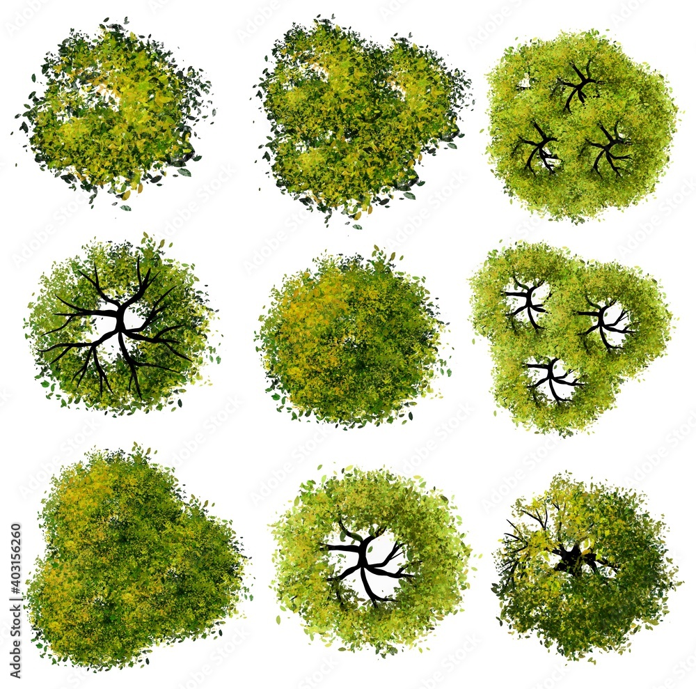 Collection of abstract watercolor green tree top view isolated on white ...