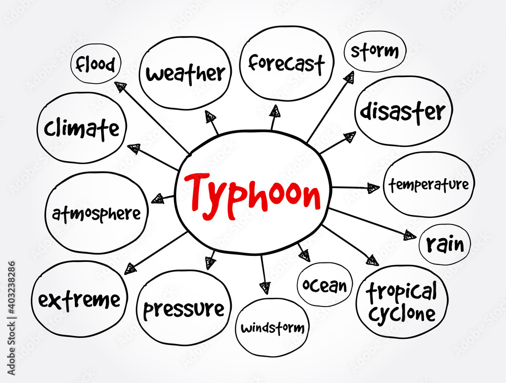 Typhoon mind map, concept for presentations and reports Stock Vector ...