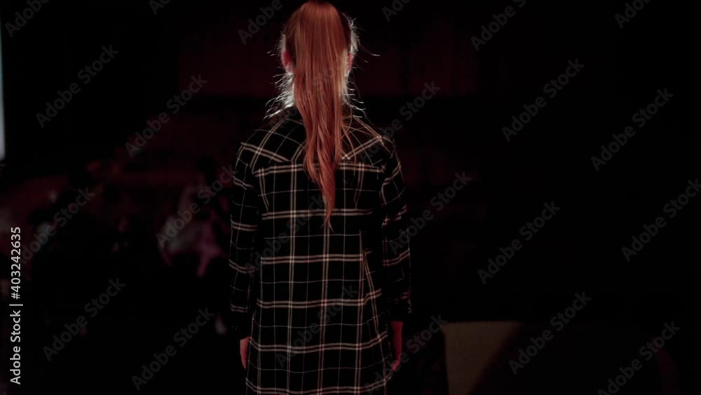 Vidéo Stock Rear view of a woman with long hair looking into the ...