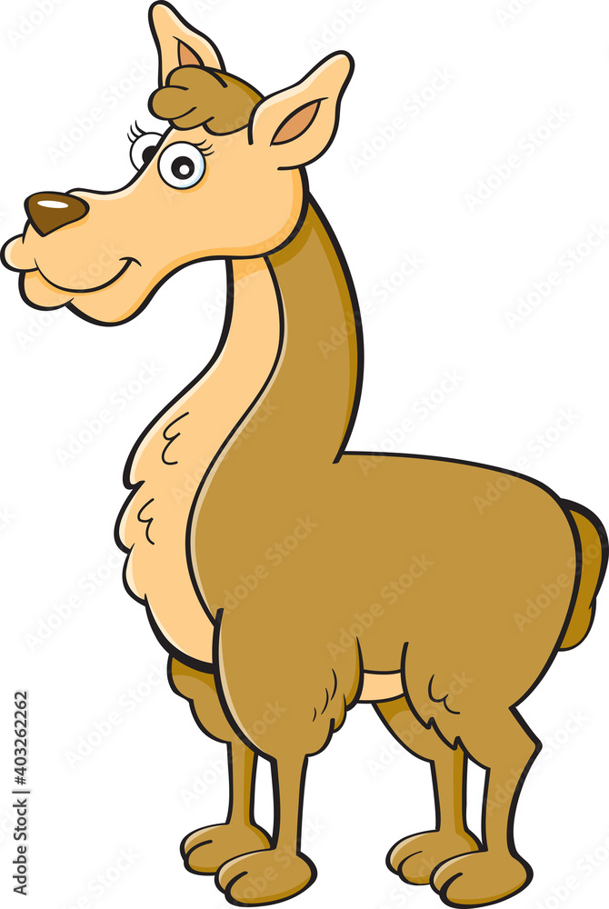 Cartoon illustration of a smiling llama standing. Stock Vector | Adobe ...