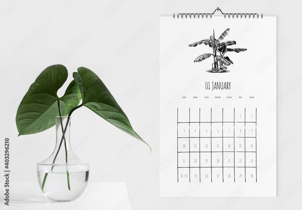 Plant 2021 Wall Calendar Layout Stock Template | Adobe Stock