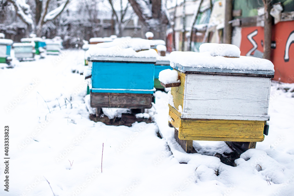 hives on apiary are covered with snow. Wintering bees outdoor ...