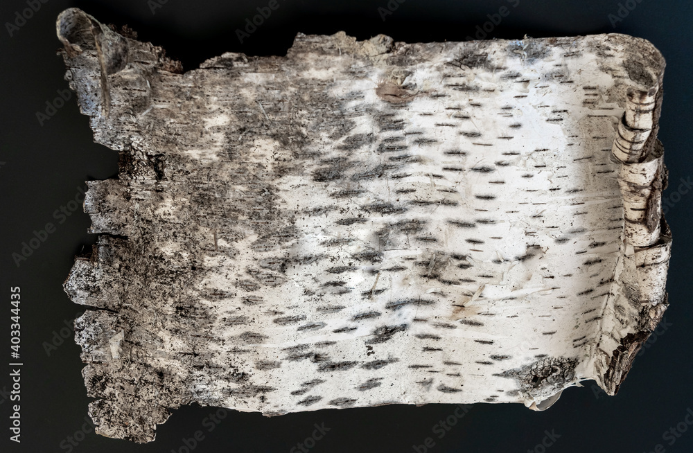 Birchbark as a vintage natural background for writing text Stock Photo ...