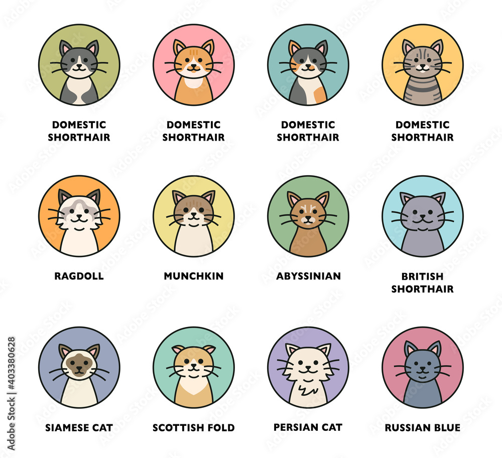 Cute cat breed icon set. The cute cat face is in the circle. flat ...