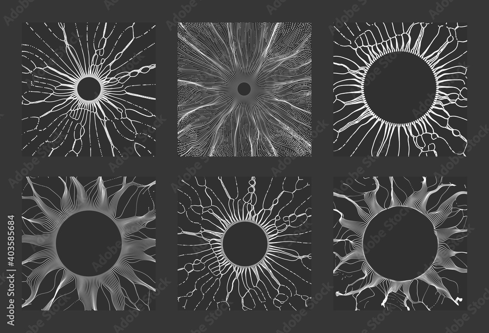 3d Vector Black Hole