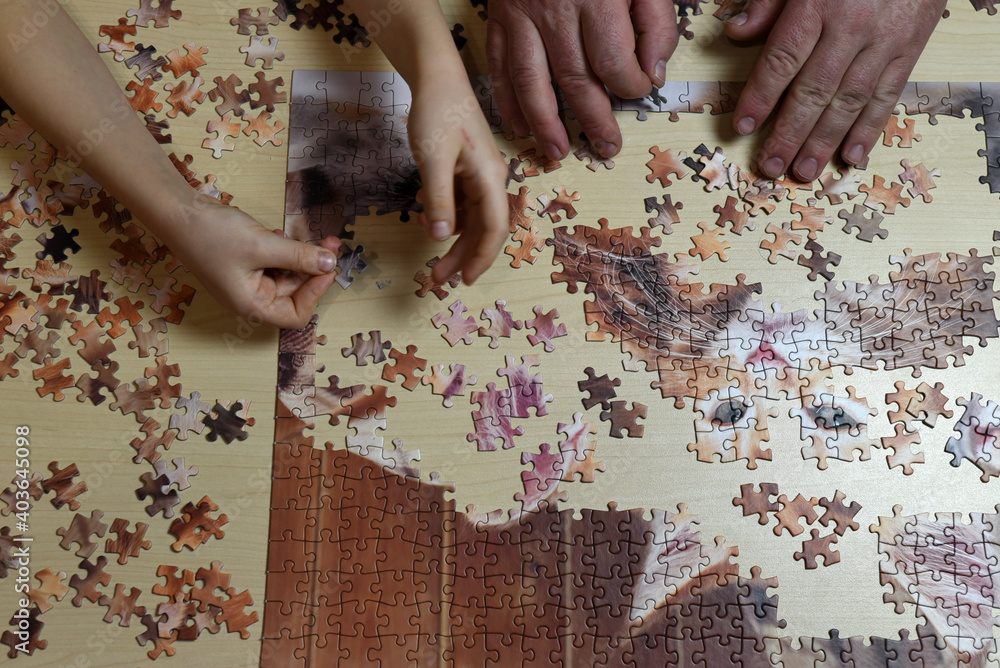 An adult and a child collect a complex picture of 500 puzzles on the ...