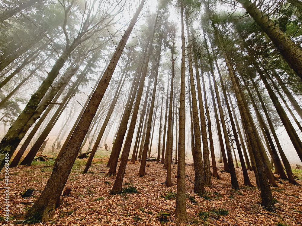 Deforestation makes climate change and global warming Stock Photo ...