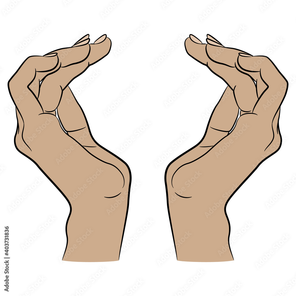 Two beautiful human female hands in elegant cupped gesture. Cartoon ...