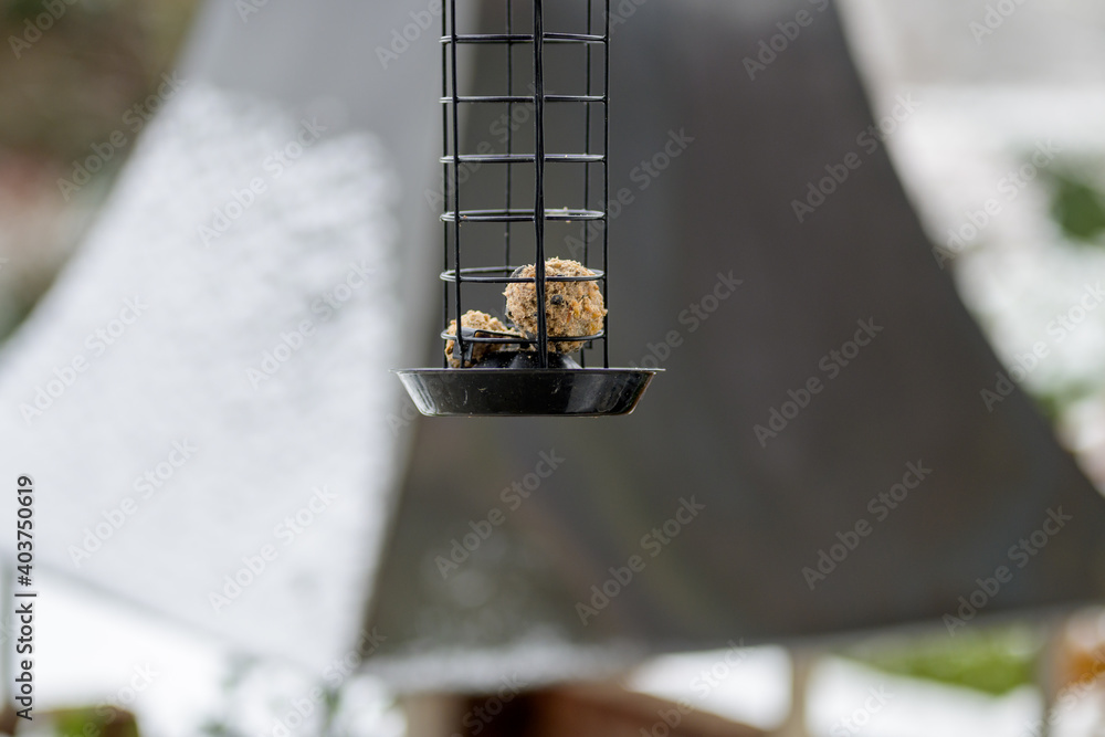 Suet seed balls in a bird feeder Stock Photo | Adobe Stock