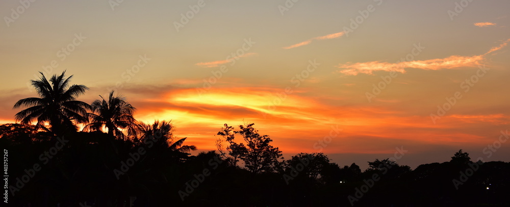 Beautiful golden yellow sky after sunset, Picture of a sun setting in ...