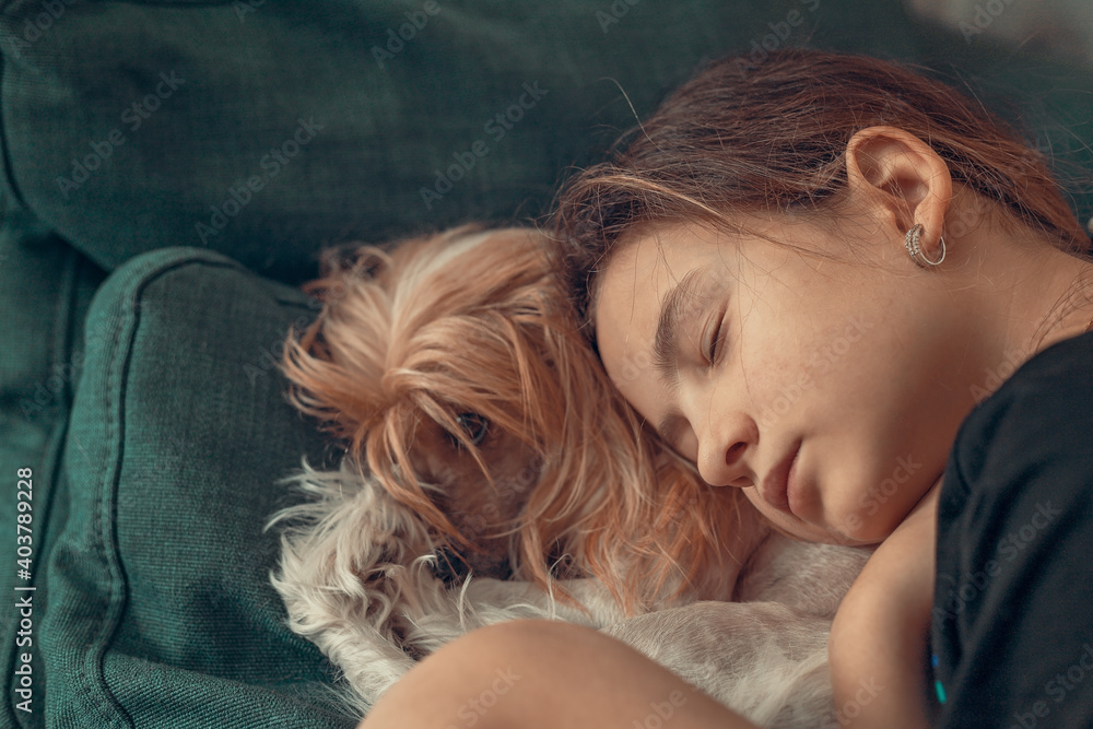 Beautiful girl sleeping with her dog. Best friends. Lifestyle Stock ...