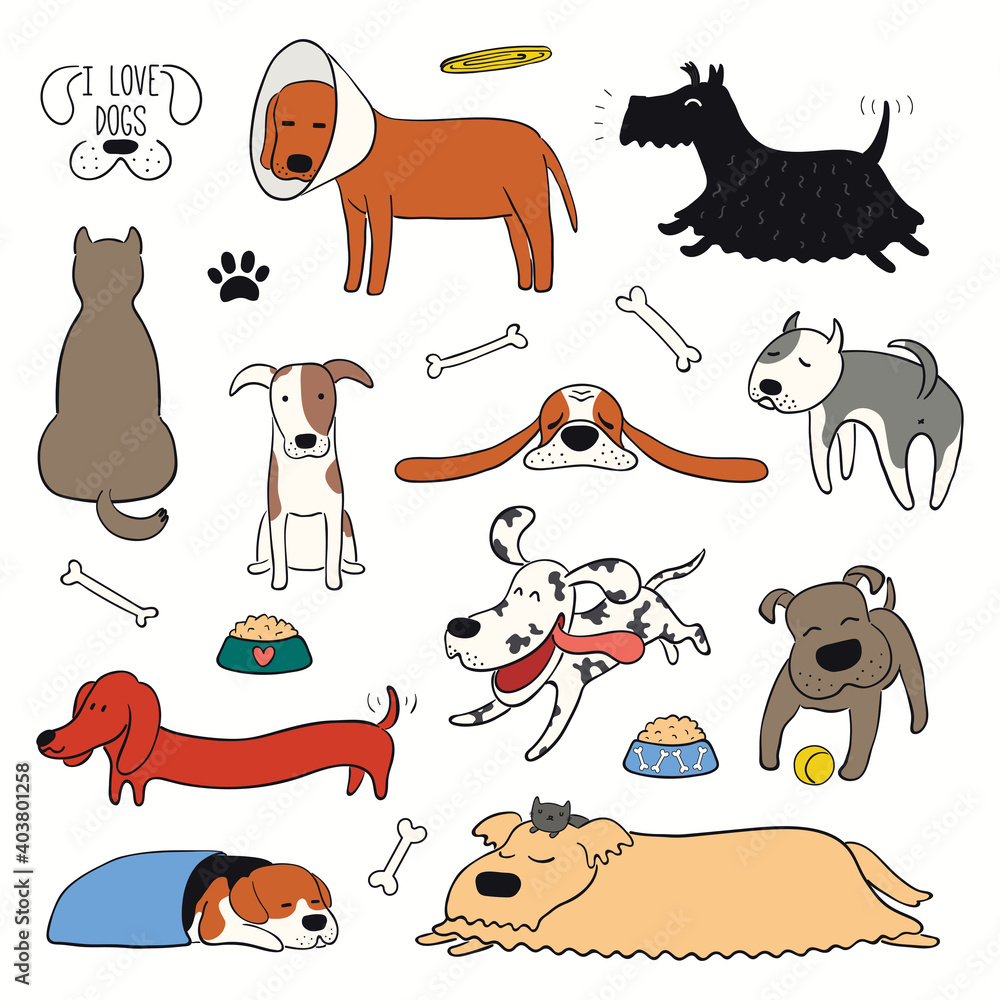 Cute funny different dogs, puppies clipart collection. Hand drawn color ...