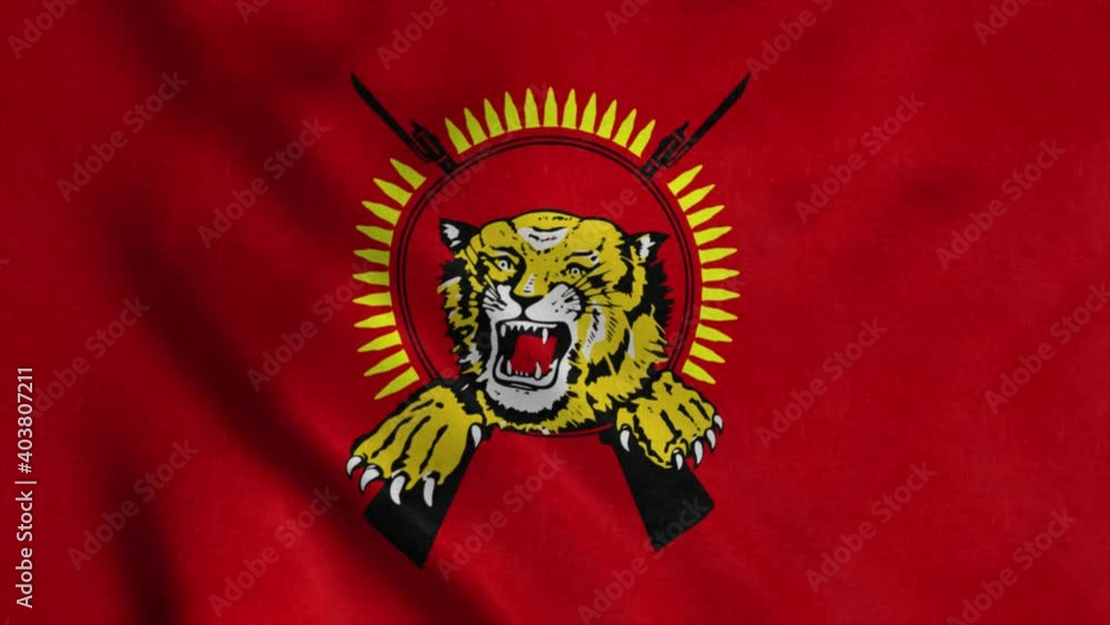 Flag of Tamil Eelam, waving in wind. Realistic flag background 素材庫影片 ...